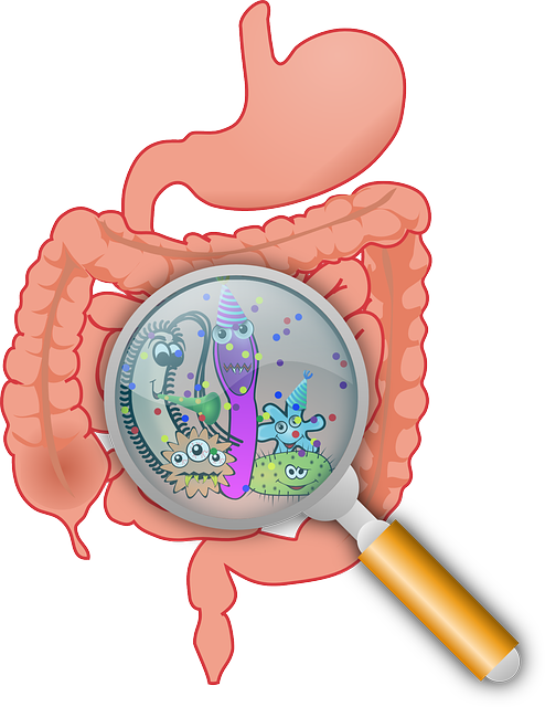 Scarsa igiene orale? Attenzione all’ infiammazione intestinale ...
